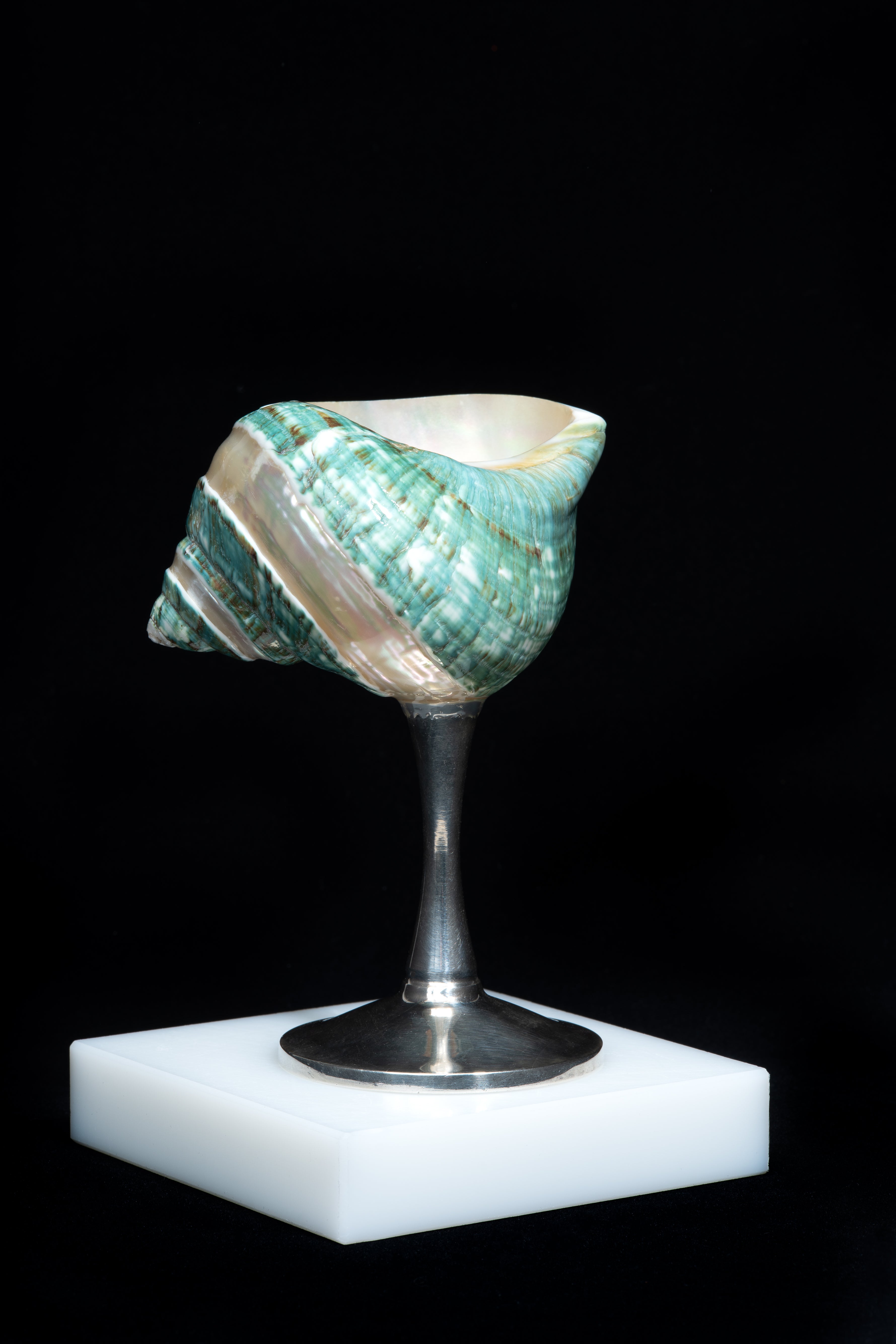 Curly Shell Glass