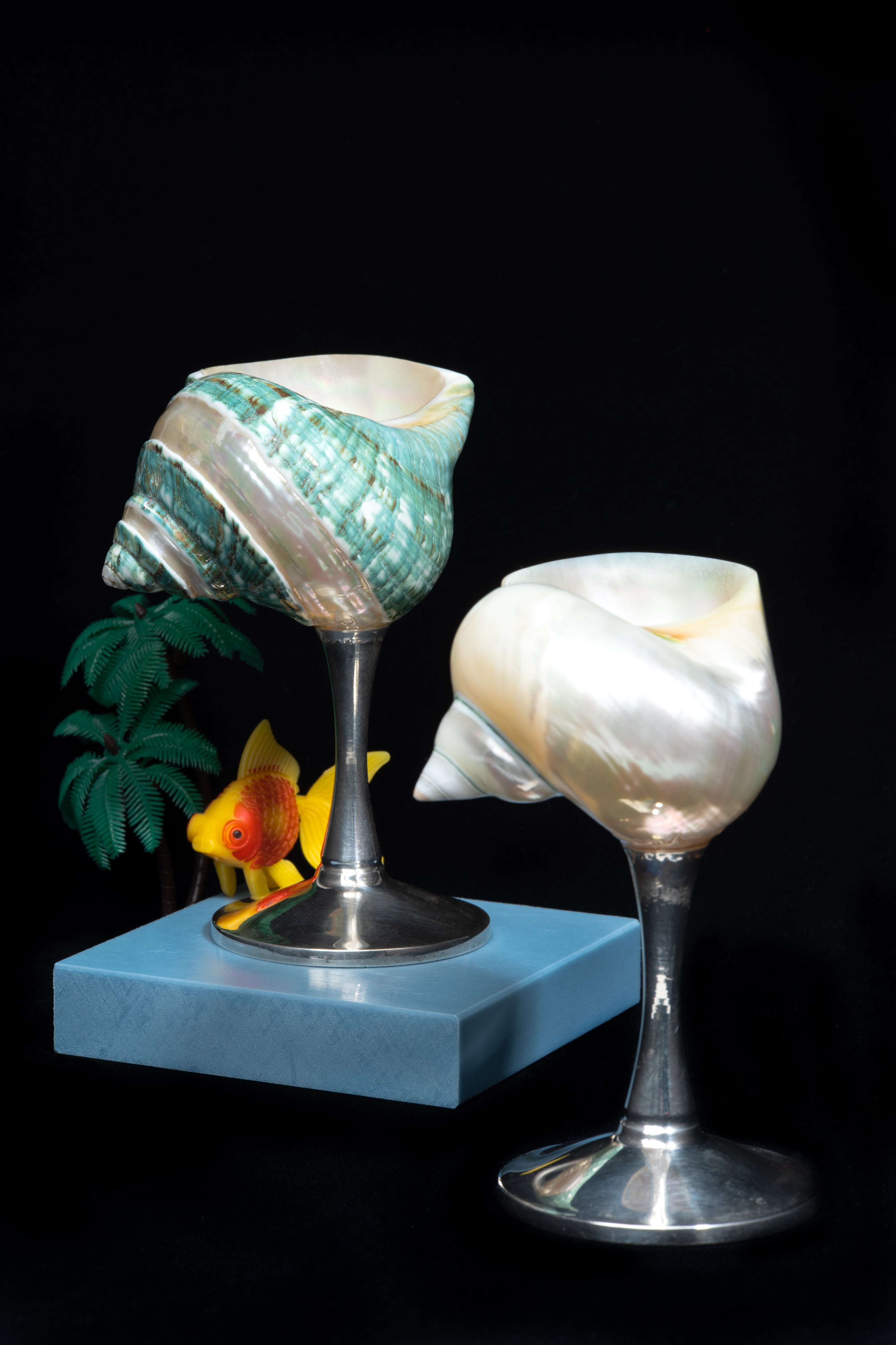 Curly Shell Glass