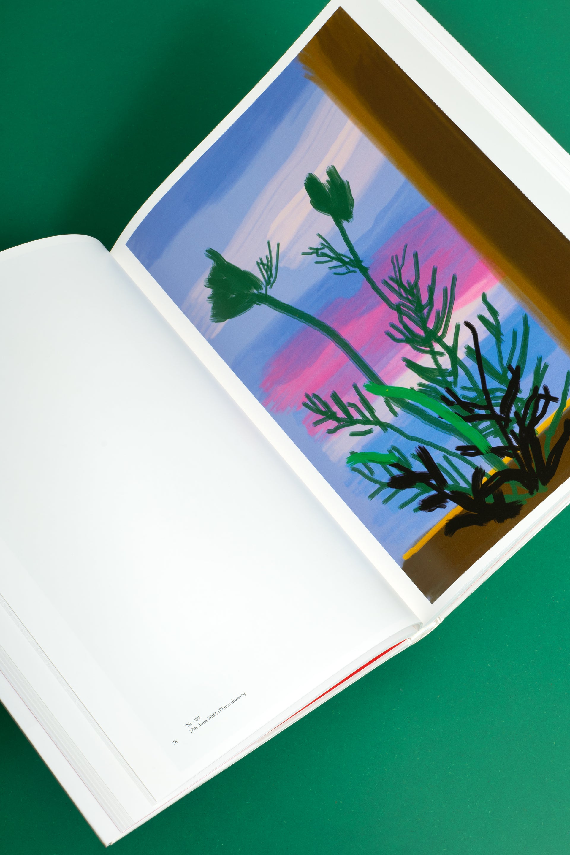 David Hockney. My Window